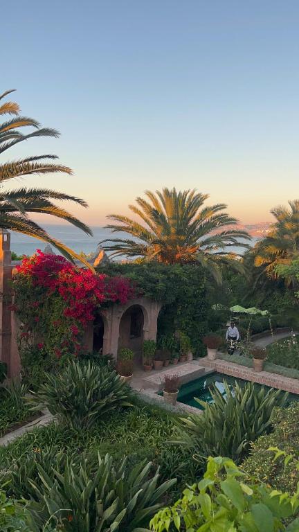 my_tangier_, Tangier (updated prices 2026)