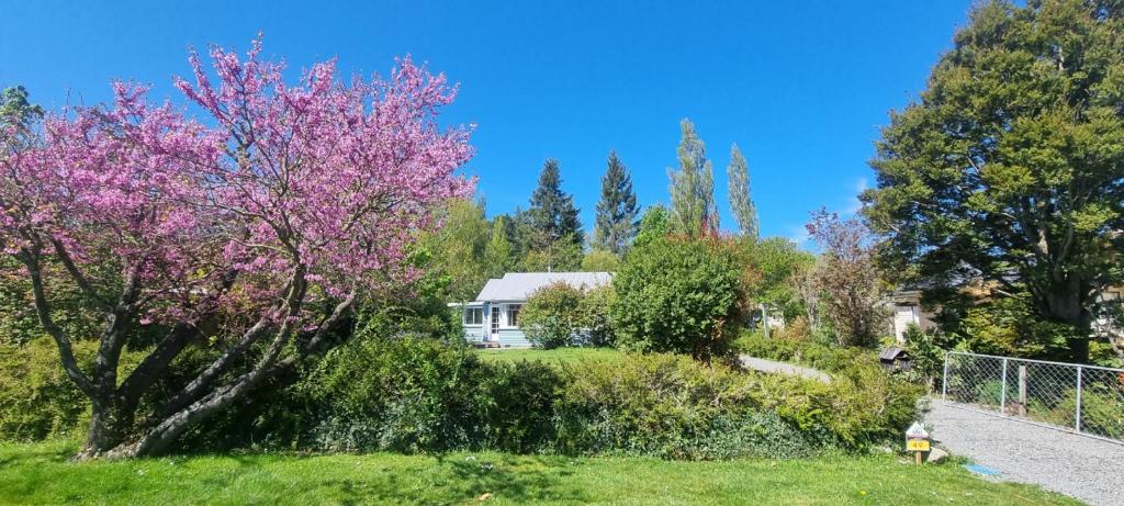 49 Scarborough Terrace, Hanmer Springs (updated prices 2026)