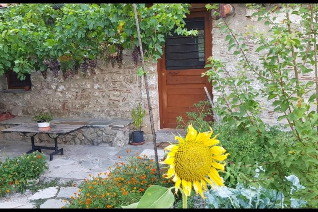 Little stone cottage., Kalabaka (updated prices 2026)