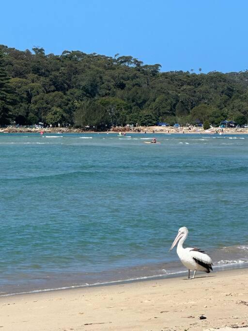 Oasis in Nature, Maianbar – Updated 2024 Prices