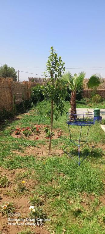 MON CHALET, Marrakech (precios actualizados 2025)