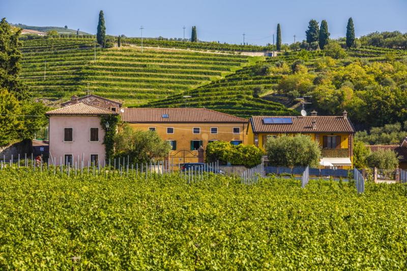 B&B Ca' Bernai, San Pietro in Cariano (aktualisierte Preise für 2026)