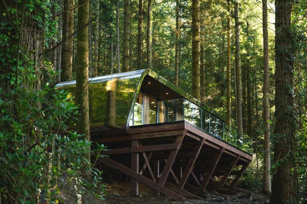 Forest Lodges, Betws-y-coed (updated prices 2026)