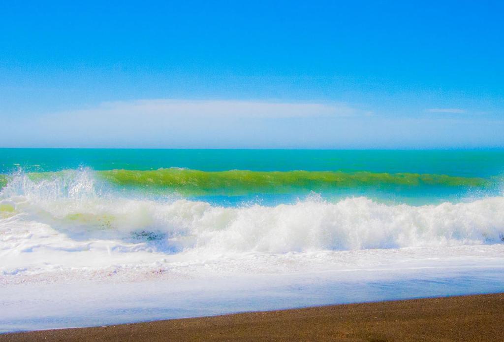 House Ladispoli center, Ladispoli (tarifs actualisés 2024)