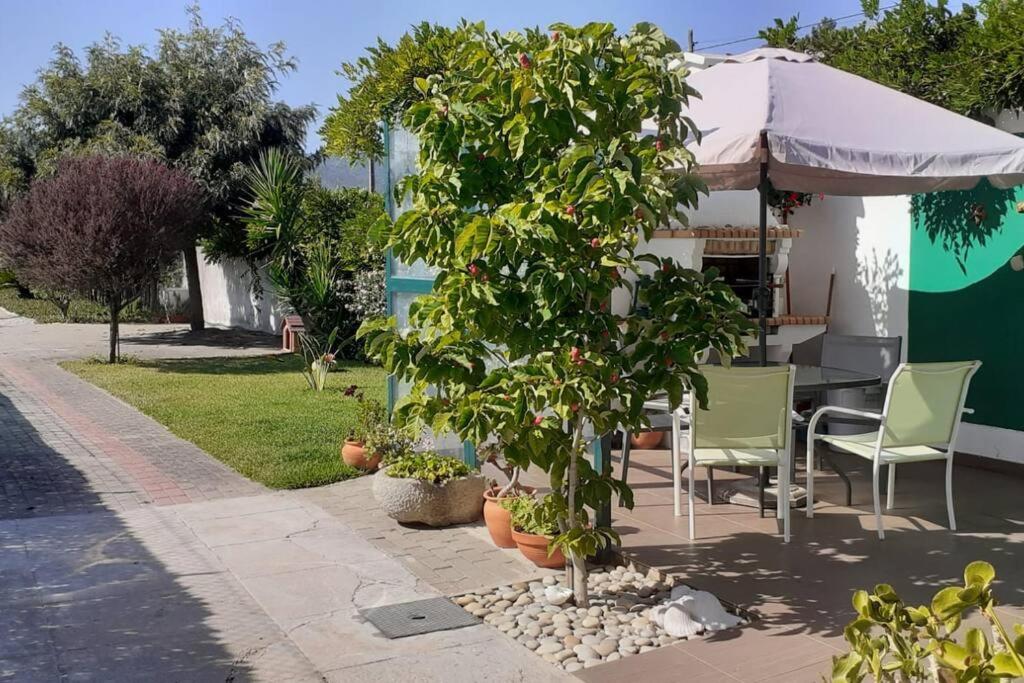 Casa das Areias. Cabedelo. Darque, Viana do Castelo (bijgewerkte ...