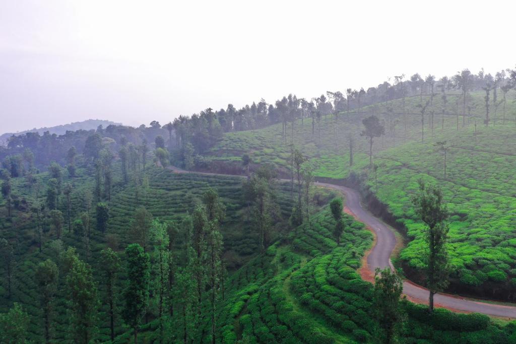 Leaves Resort Vythiri Wayanad, Vythiri (updated prices 2025)