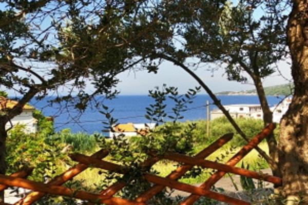 NORTH SPOT, Drašnice (updated prices 2025)