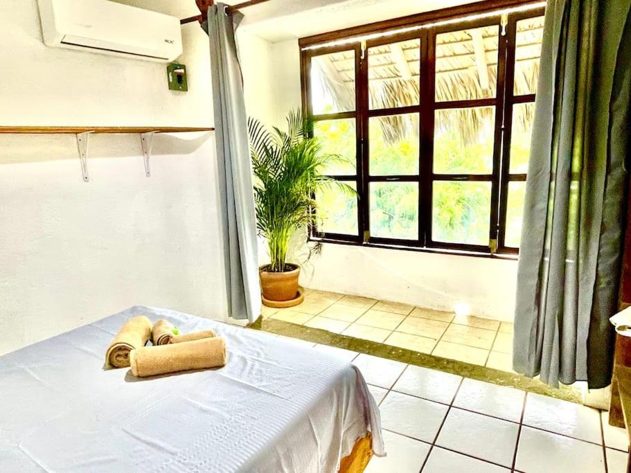 Depa cyrill frente playa Zicatela con AC y alberca, Brisas de Zicatela ...