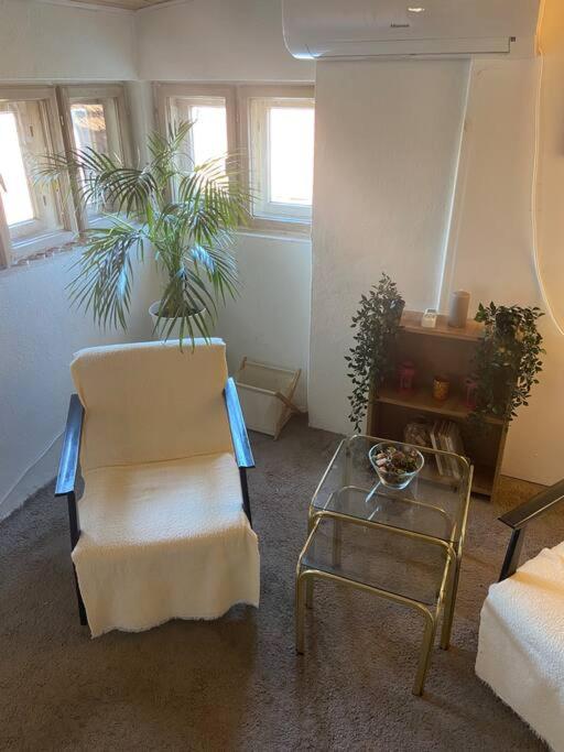 Attic, chill, cozy,in the center, Belgrade (updated prices 2025)