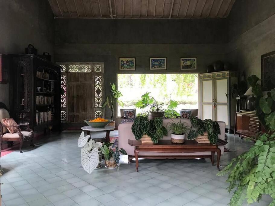Hidden Gem Bunda's House, Tabanan (updated prices 2025)