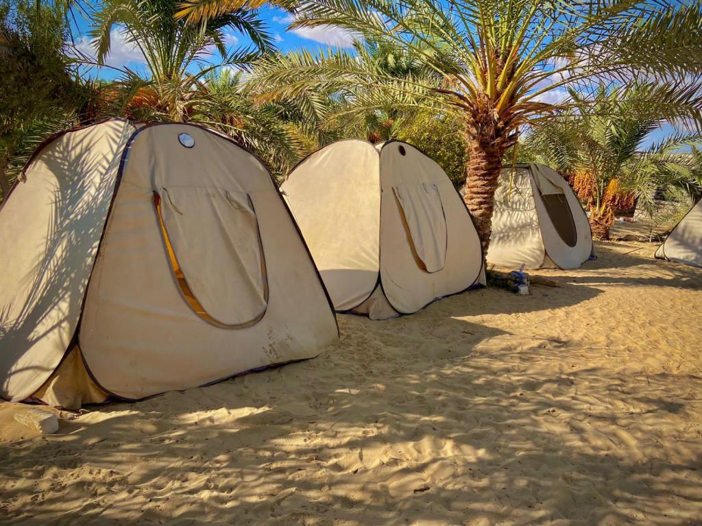 oasis hot spring, Siwa – Aktualisierte Preise für 2024