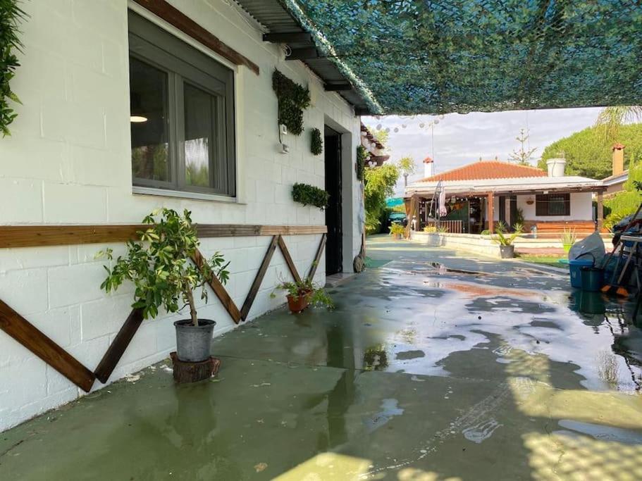 Guest house with shared pool., Coria del Río (updated prices 2024)