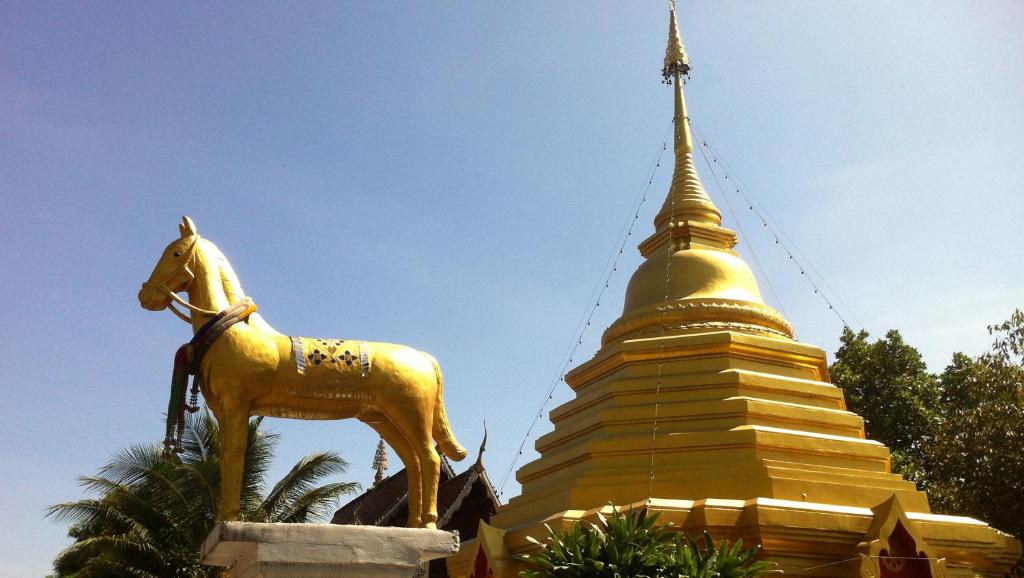 Green Tiger House, Chiang Mai (updated prices 2025)