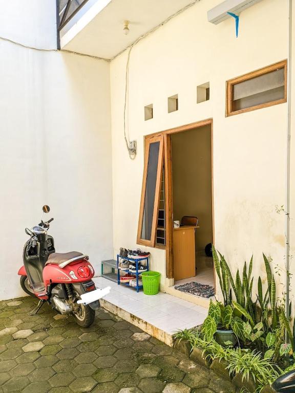 Kost Adam, Ngemplak (precios actualizados 2026)