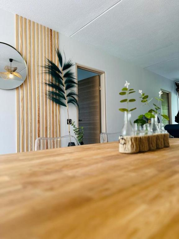 SAB Location - Appartement, Ducos (updated prices 2025)