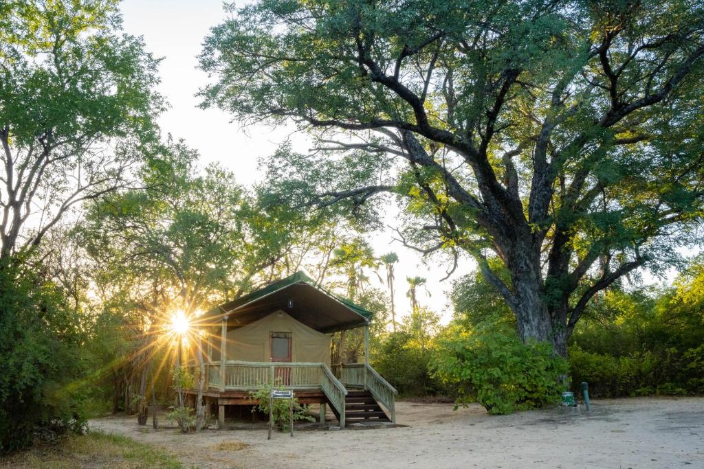 Nata Lodge, Nata (updated prices 2025)