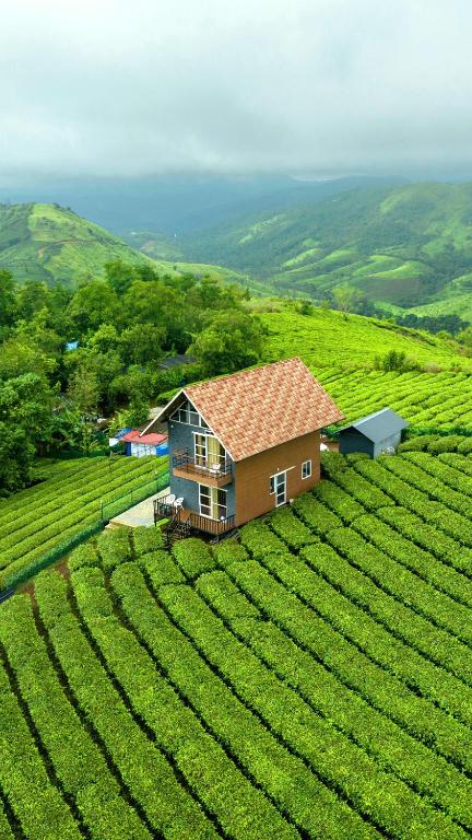 Cloud Canopy - Unique Tea Garden Resort in Vagamon, Vagamon – Updated ...