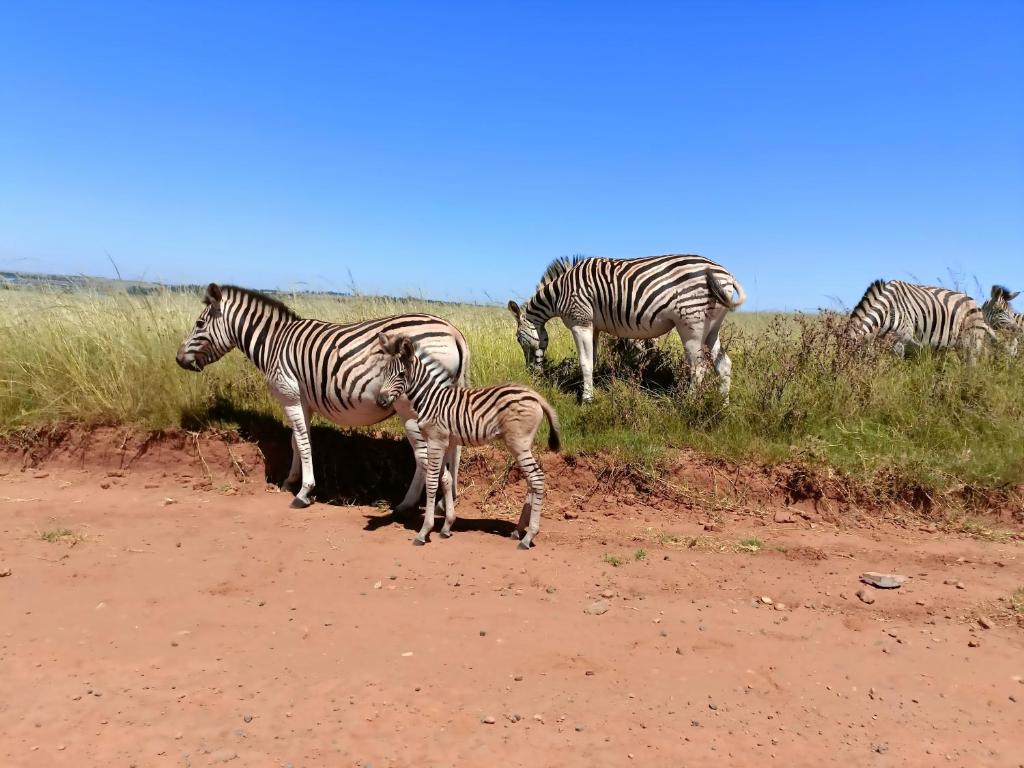 Sedgefield Lodge, eMalahleni (updated prices 2025)