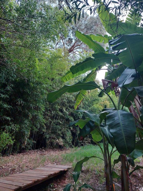 Cañas y Mar - A 70m del mar, Cuchilla Alta – Updated 2023 Prices