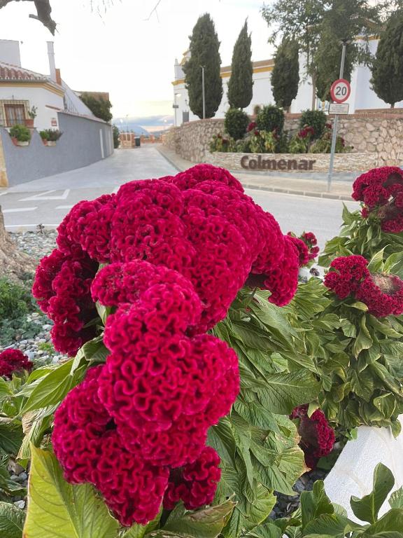 Honey Studio, Colmenar – Updated 2024 Prices