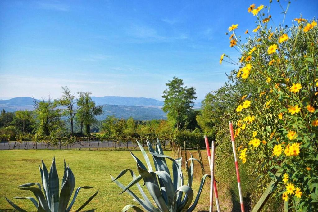 Vecchia Osteria, Castagno – Updated 2024 Prices