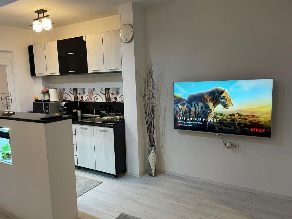 Fancy Studio Arena Nationala, Bucharest (updated prices 2025)