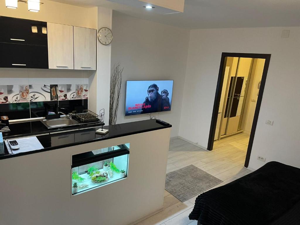 Fancy Studio Arena Nationala, Bucharest (updated prices 2025)