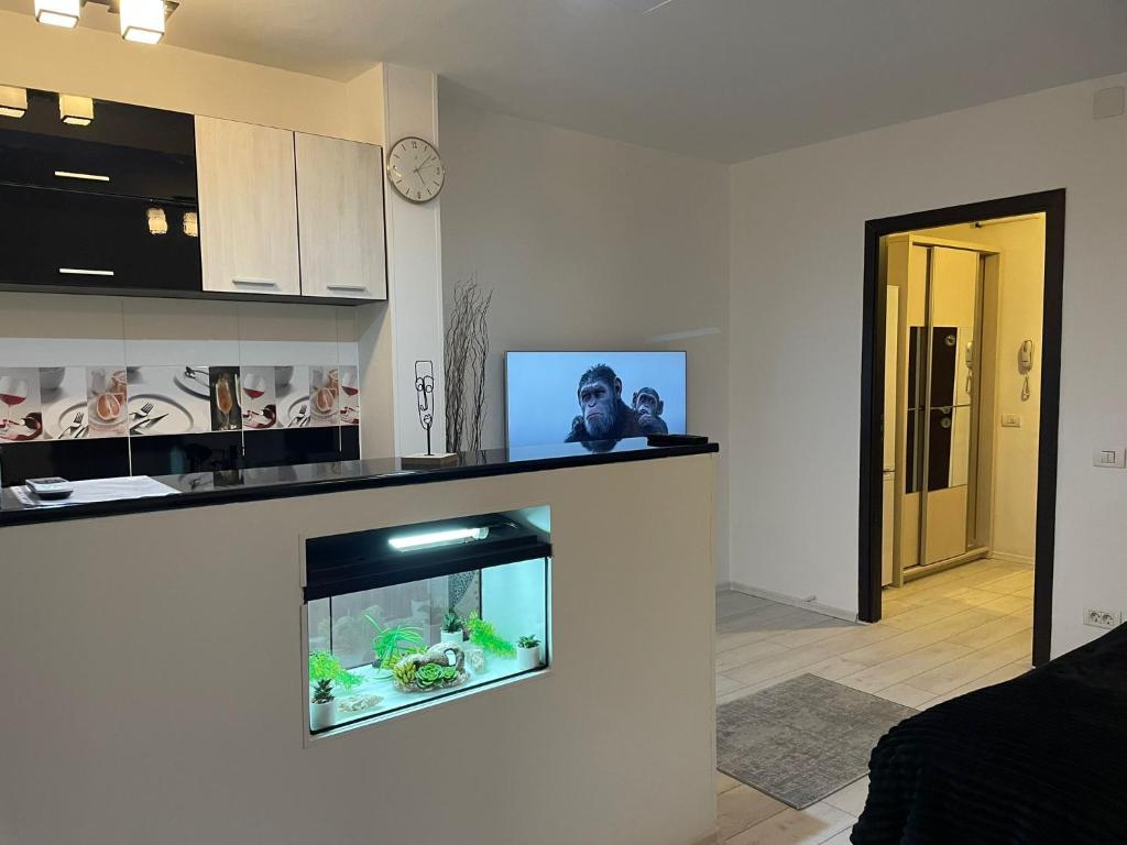 Fancy Studio Arena Nationala, Bucharest (updated prices 2025)