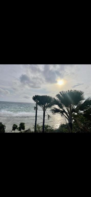 Fumiko Rina Acop, San Juan – Aktualisierte Preise für 2024