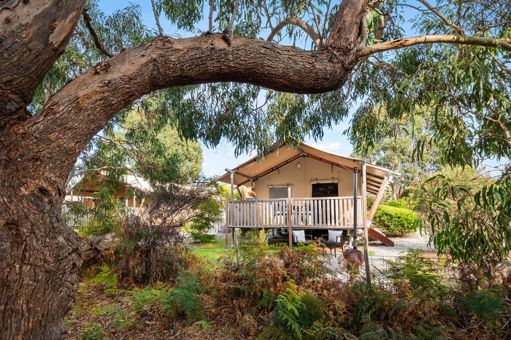 Scamander Sanctuary Holiday Park, Scamander (updated prices 2025)