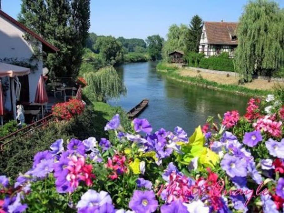 Le Cocon du bord de l'Ill, Illhaeusern (updated prices 2025)