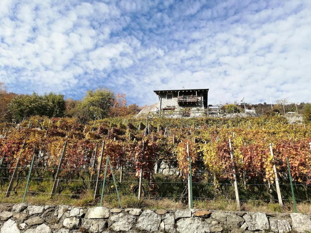 RUSTICO VIGNA casa vacanze, Civo (updated prices 2025)