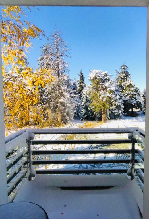 Forest nest - your place to rest!, Borovets – Updated 2024 Prices