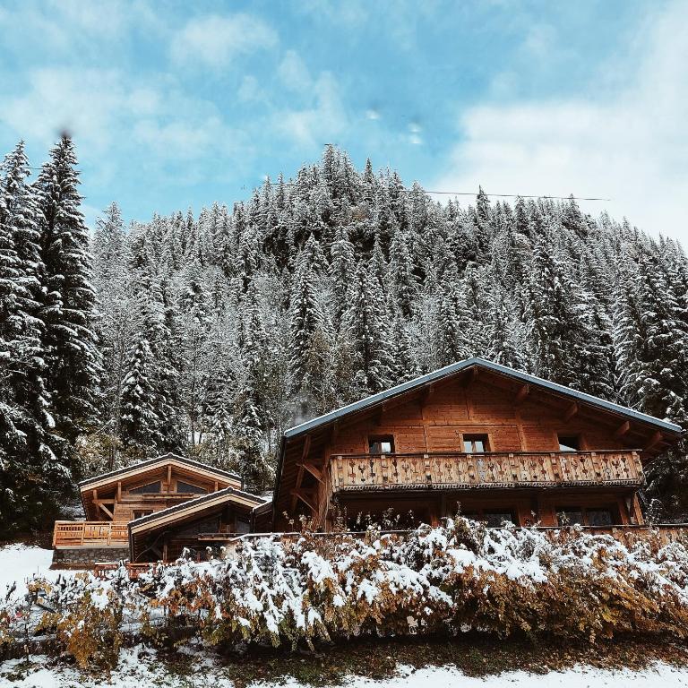 Savoya Lodges, Châtel (updated prices 2025)