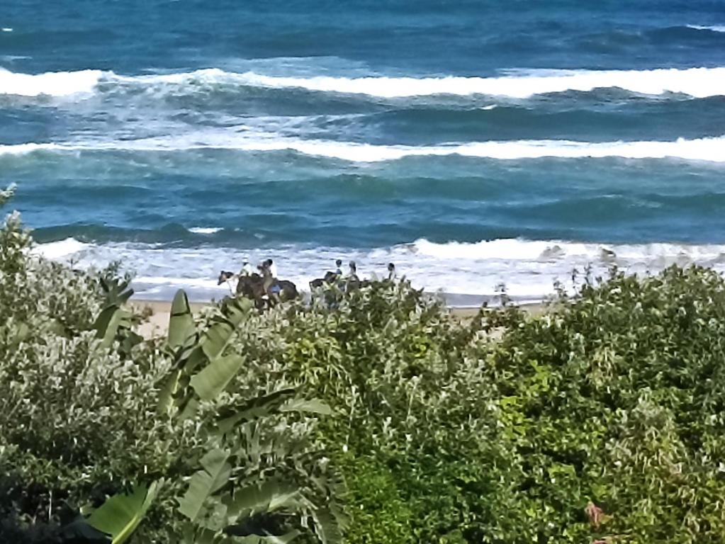 Driftsands 23, Doonside (updated prices 2025)