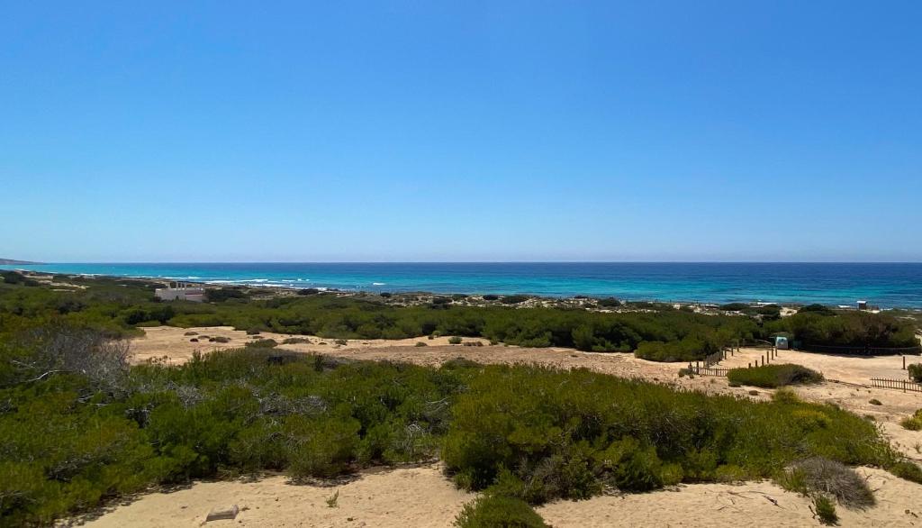 Voga Mari - Astbury Formentera, Playa Migjorn (aktualisierte Preise für ...
