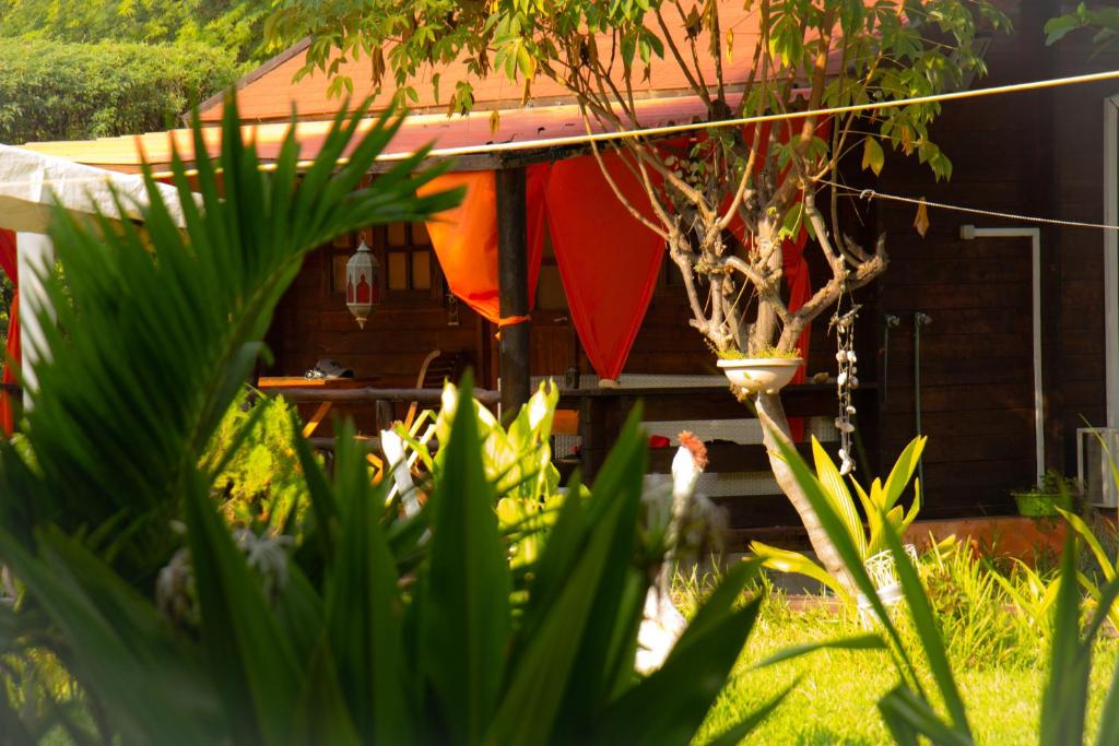 macoco resort, Belas (updated prices 2024)