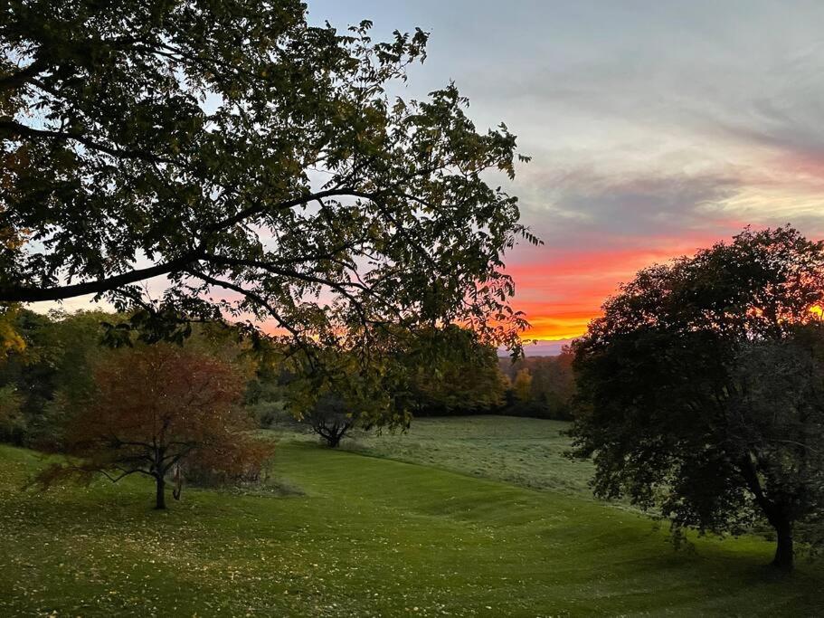 Wheeler House: Convenient, Views, New Kitchen, Charlotte (updated ...