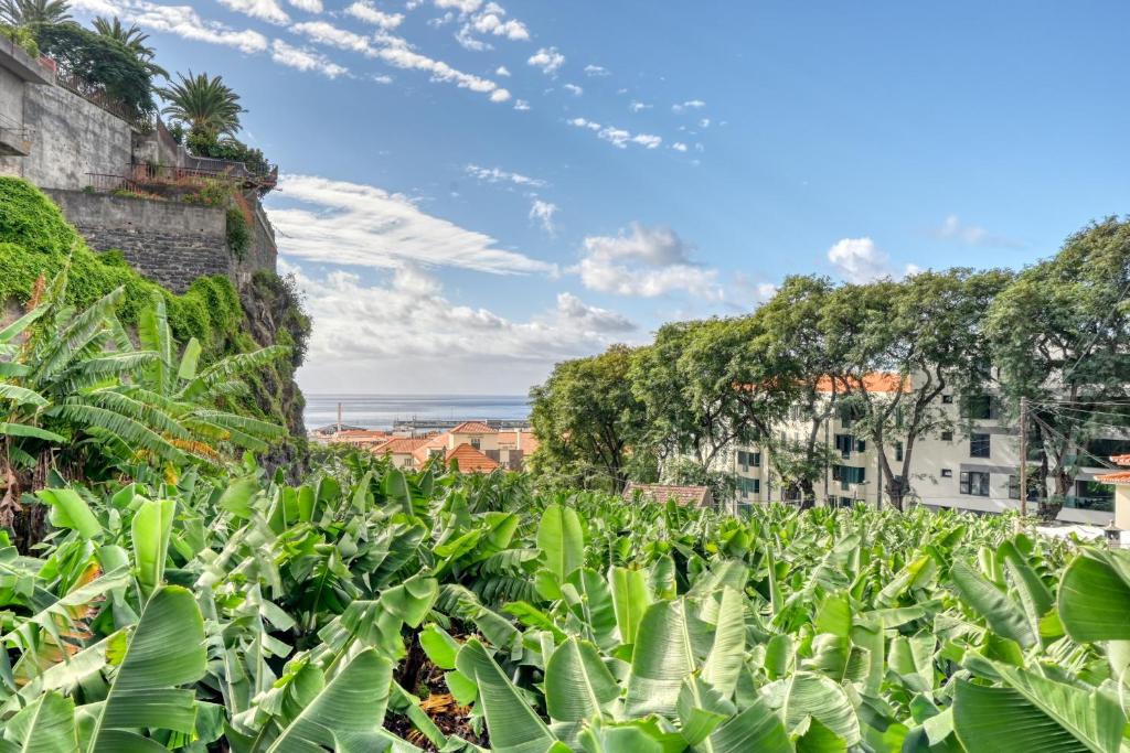 Villa Rosa, a Home in Madeira, Santa Luzia (updated prices 2025)