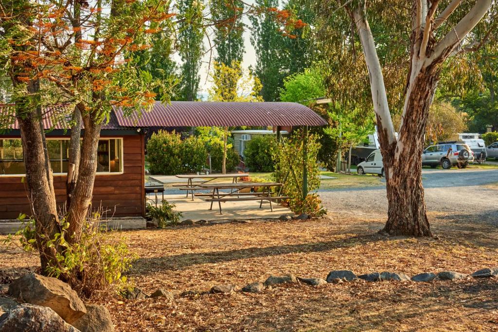 Tenterfield Lodge Caravan Park, Tenterfield (updated prices 2025)
