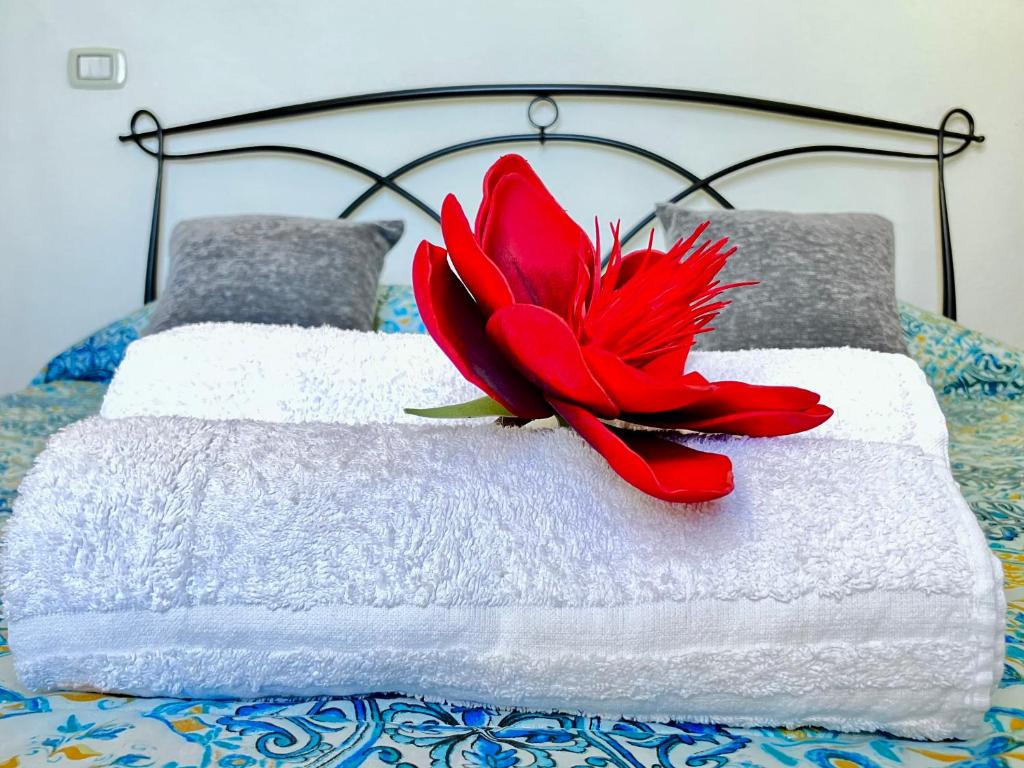 Newly renovated apartment in the heart of Sorso, Sorso – Updated 2024 ...