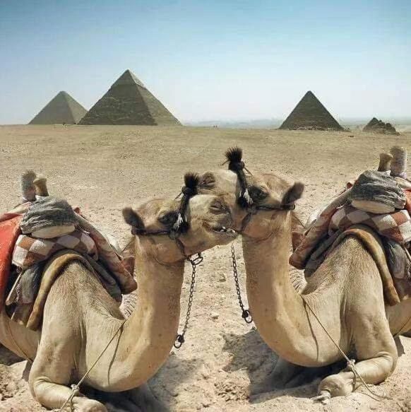 Jasmine pyramids View, Cairo – Updated 2023 Prices