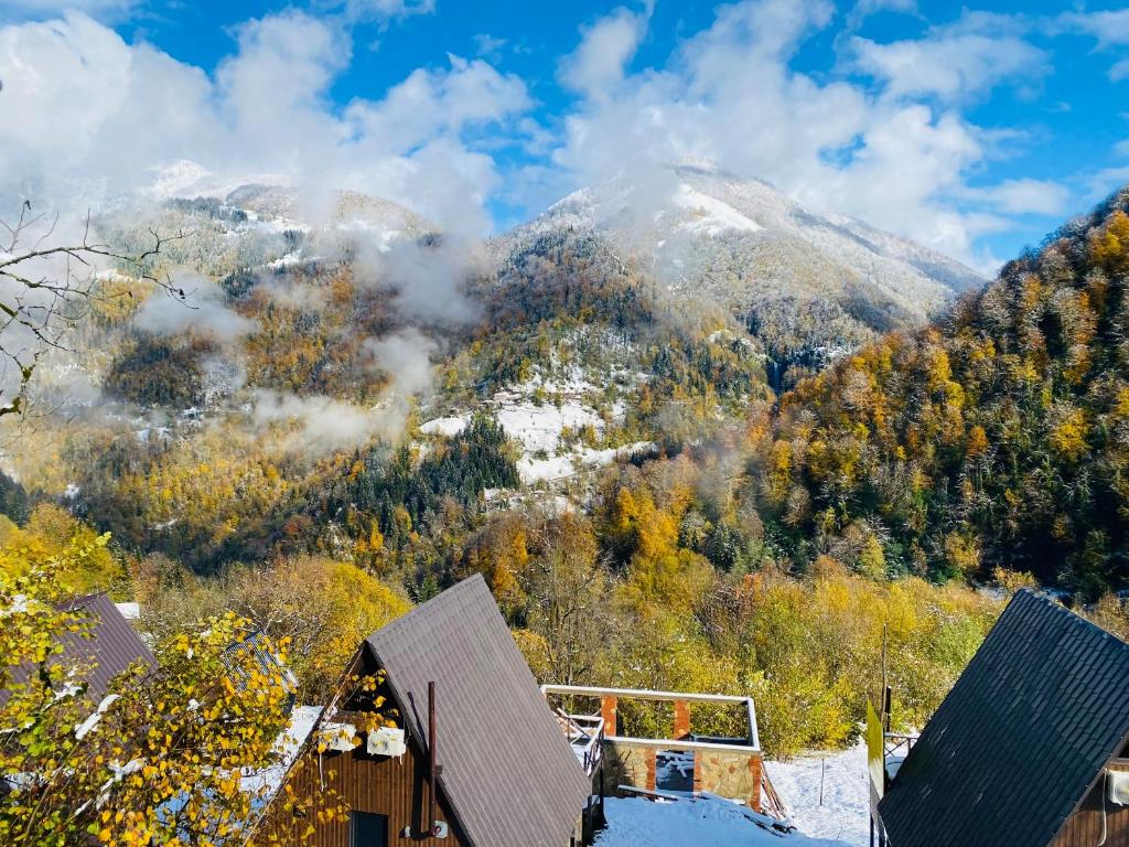 Check Inn Merisi Spa and Resort, Gundauri (updated prices 2025)