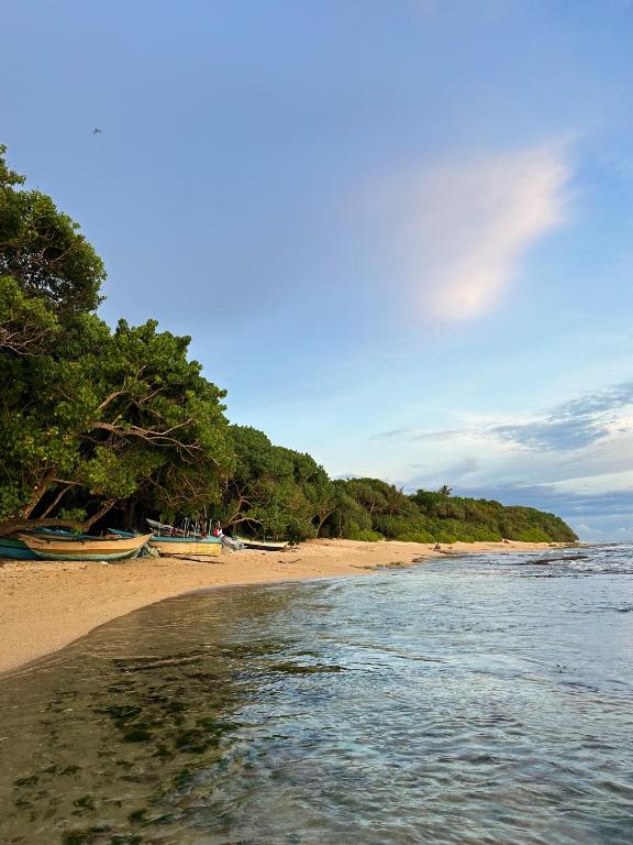 MIRISSA Reef Serenity, Mirissa – Updated 2024 Prices