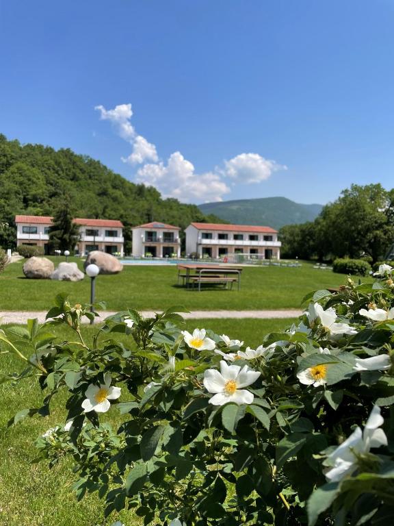 Bran&Denise Holiday Apartments, Costermano (updated prices 2024)