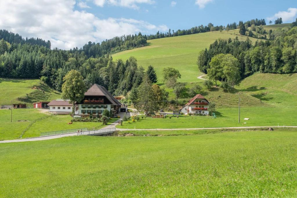 Schlegelhansenhof, Buchenbach (updated prices 2024)