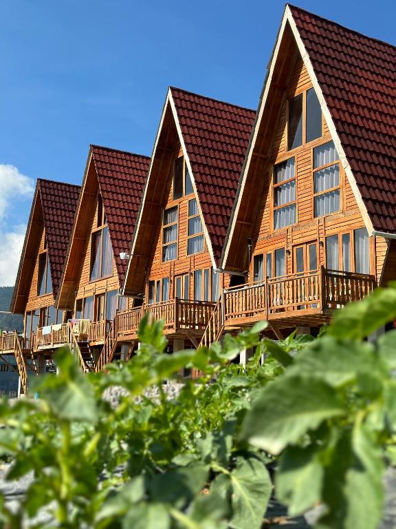 Royal Cabin Dieng, Banjarnegara (updated prices 2026)