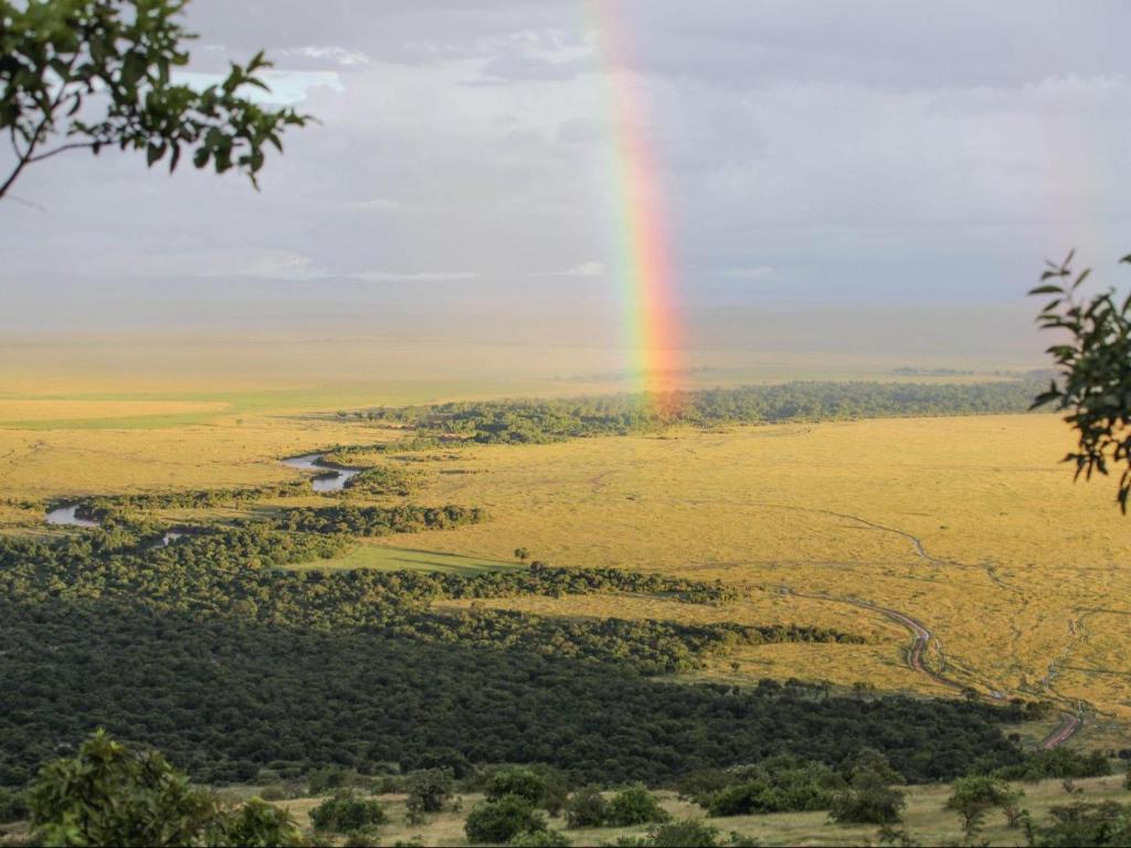 Kilima Camp - Safari in Masai Mara, Lolgorien (updated prices 2025)