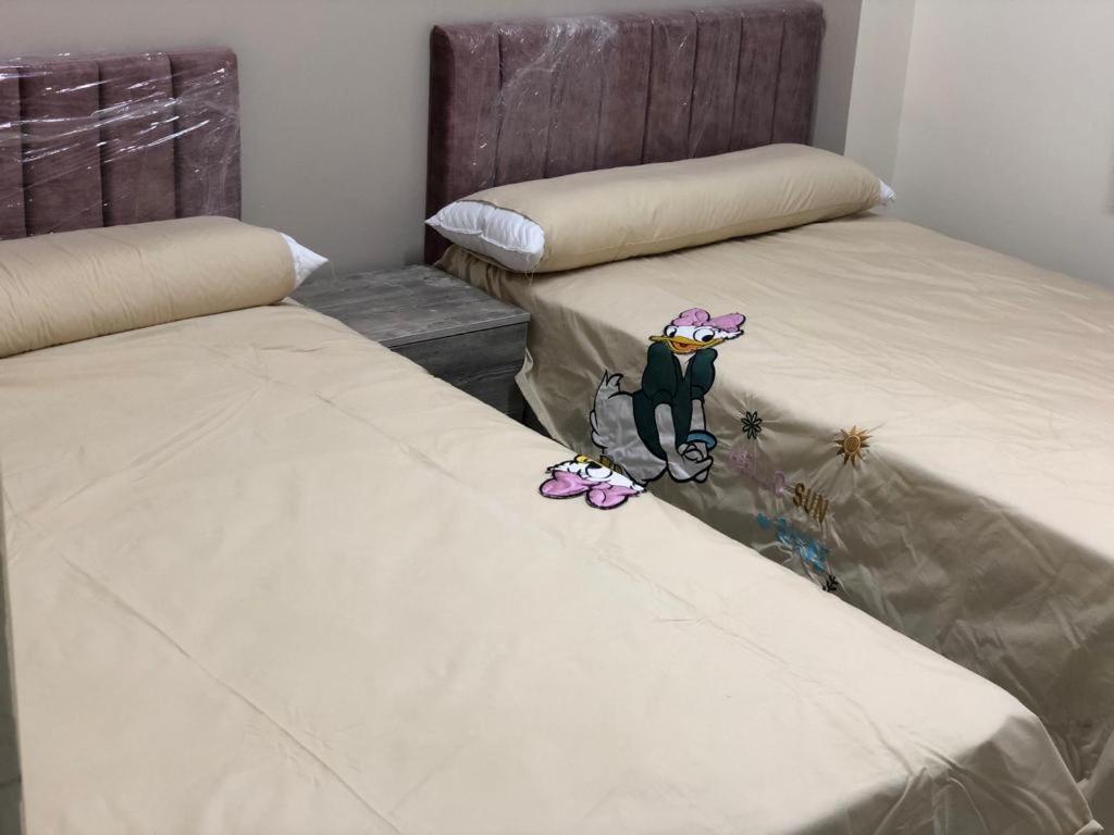 Gardenia compound, Cairo (updated prices 2026)