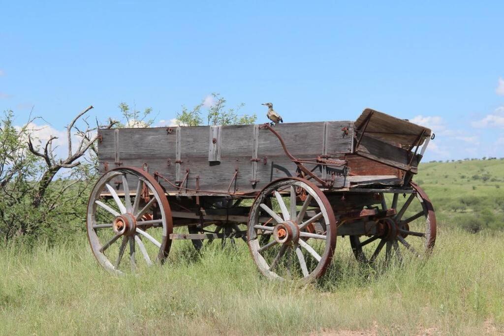 Gallo Libre Ranch House in Arivaca, AZ, Arivaca (precios actualizados 2026)